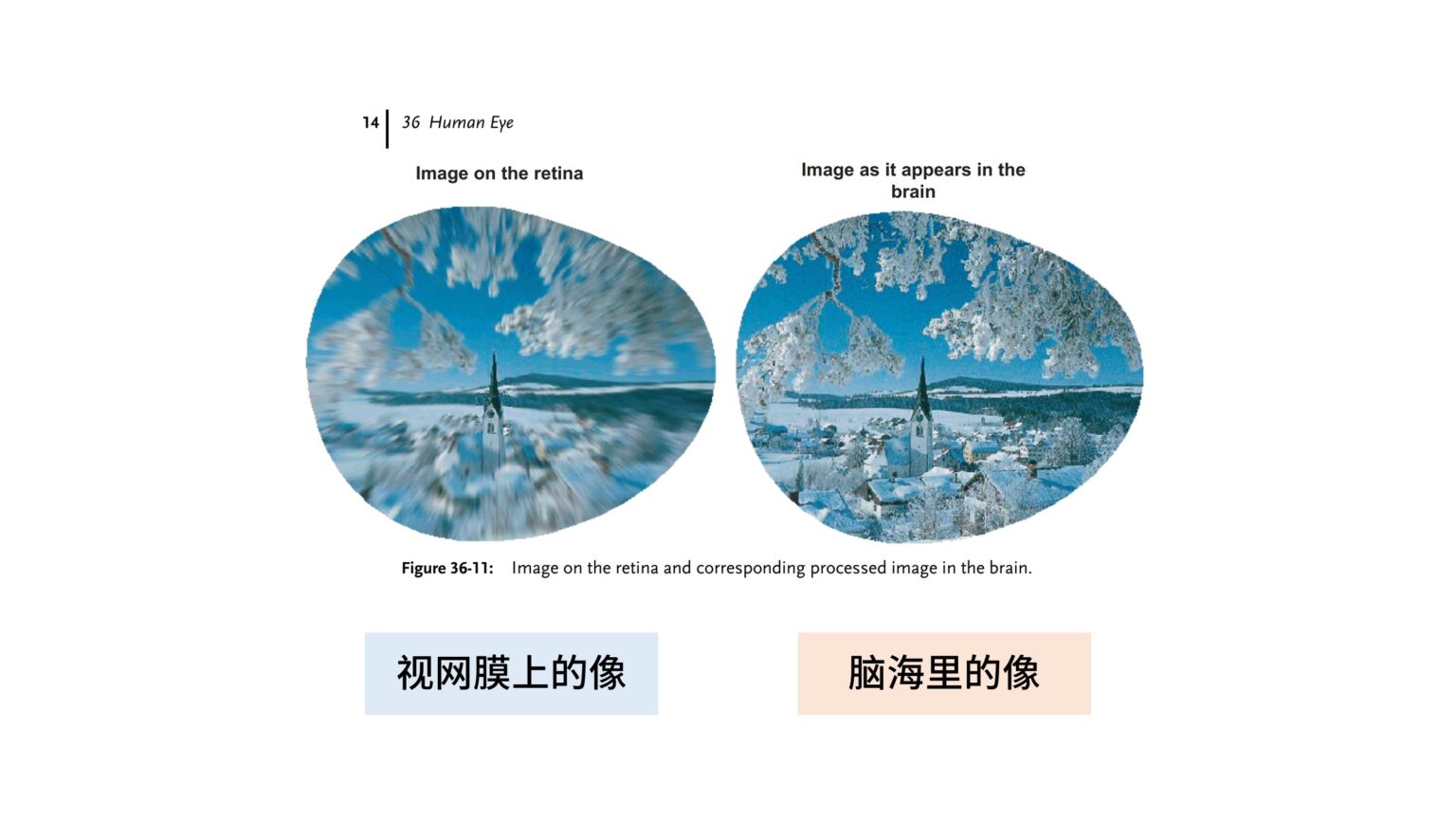 VR | #1 沉浸感的奥秘，双目视差如何硬解深度信息 – 消失的模因 GoneMeme